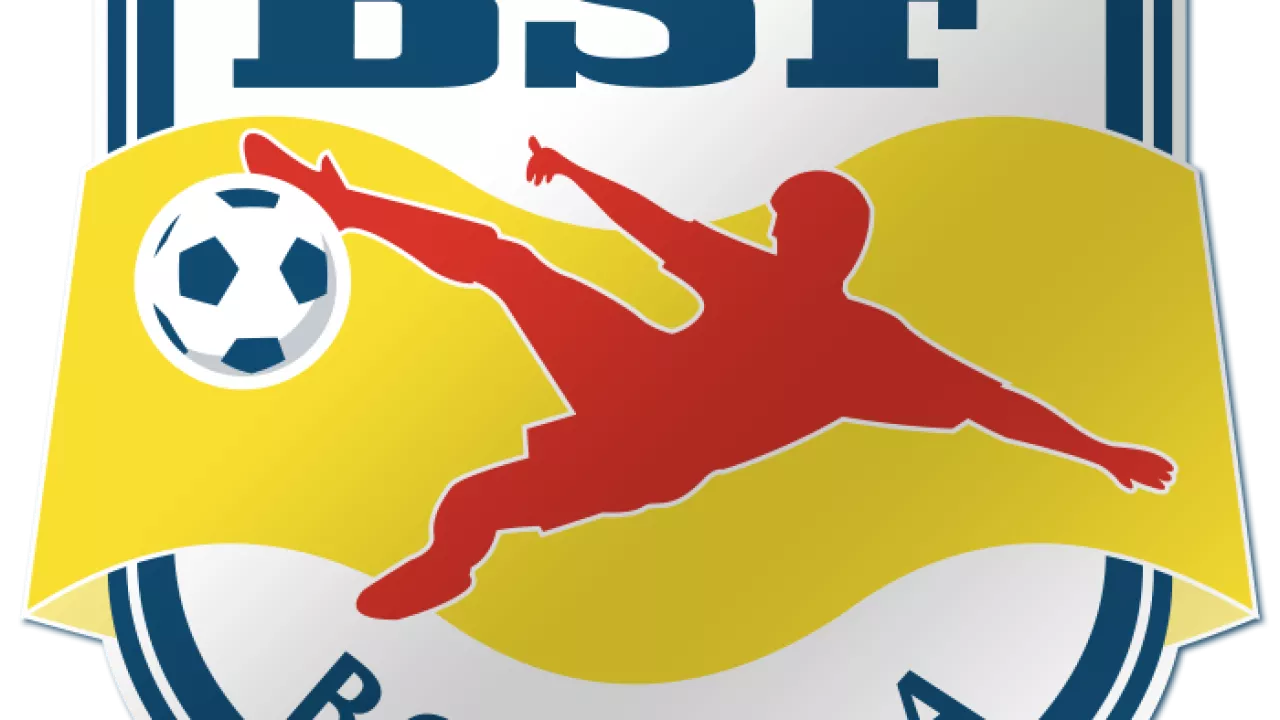 Logo | BSF Bochnia