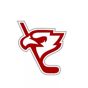 Składy | Polski Hokej